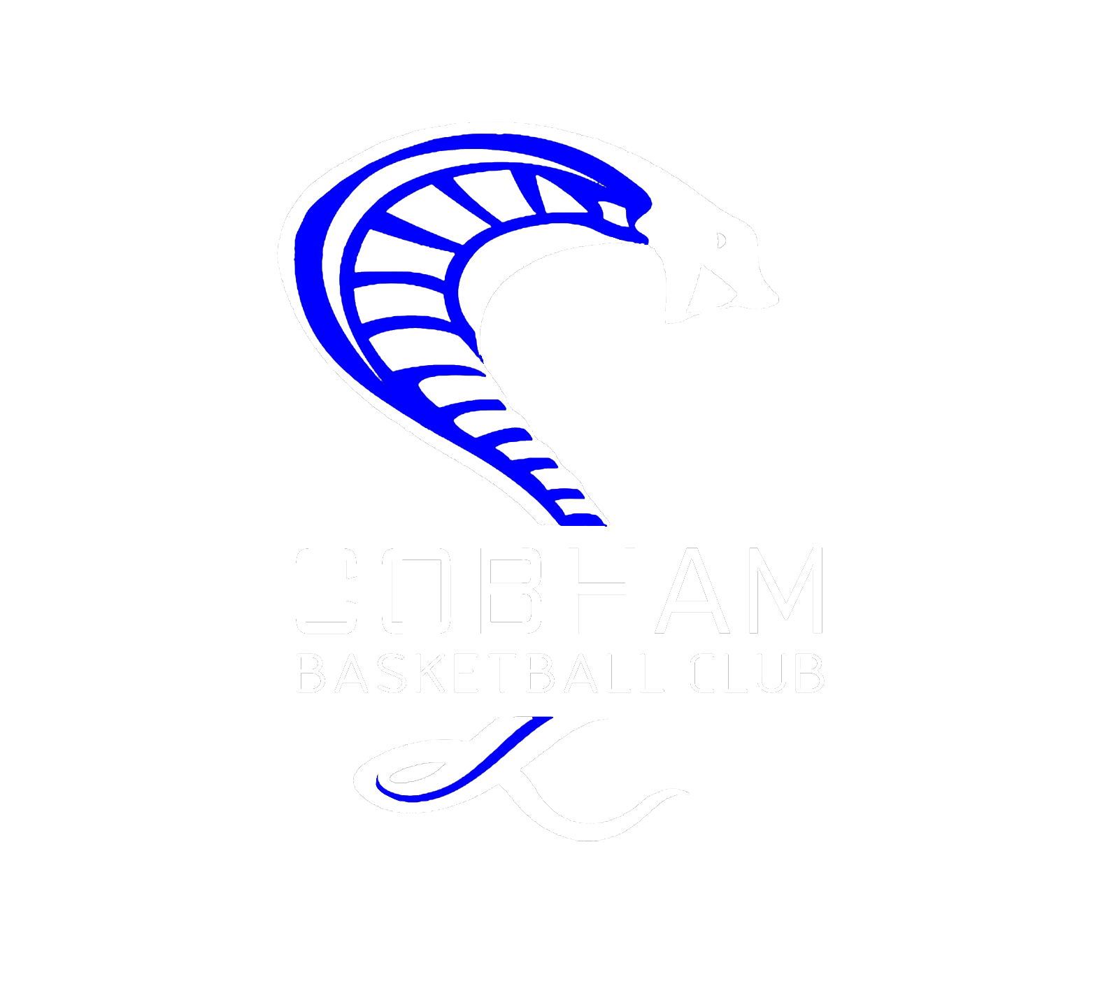Cobham Cobras Basketball Club - Cobham Basketball Club