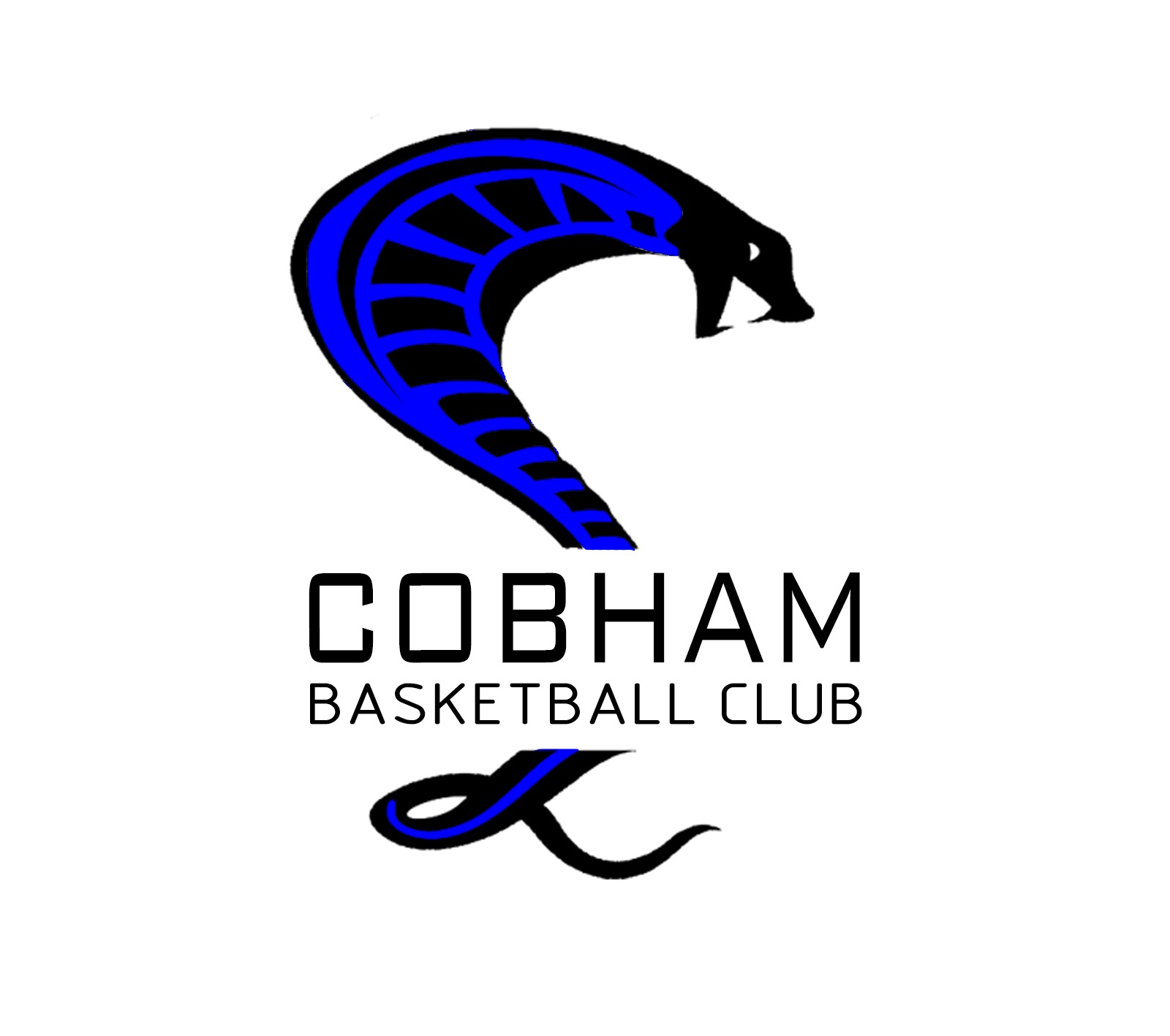 Cobham Satcom Logo
