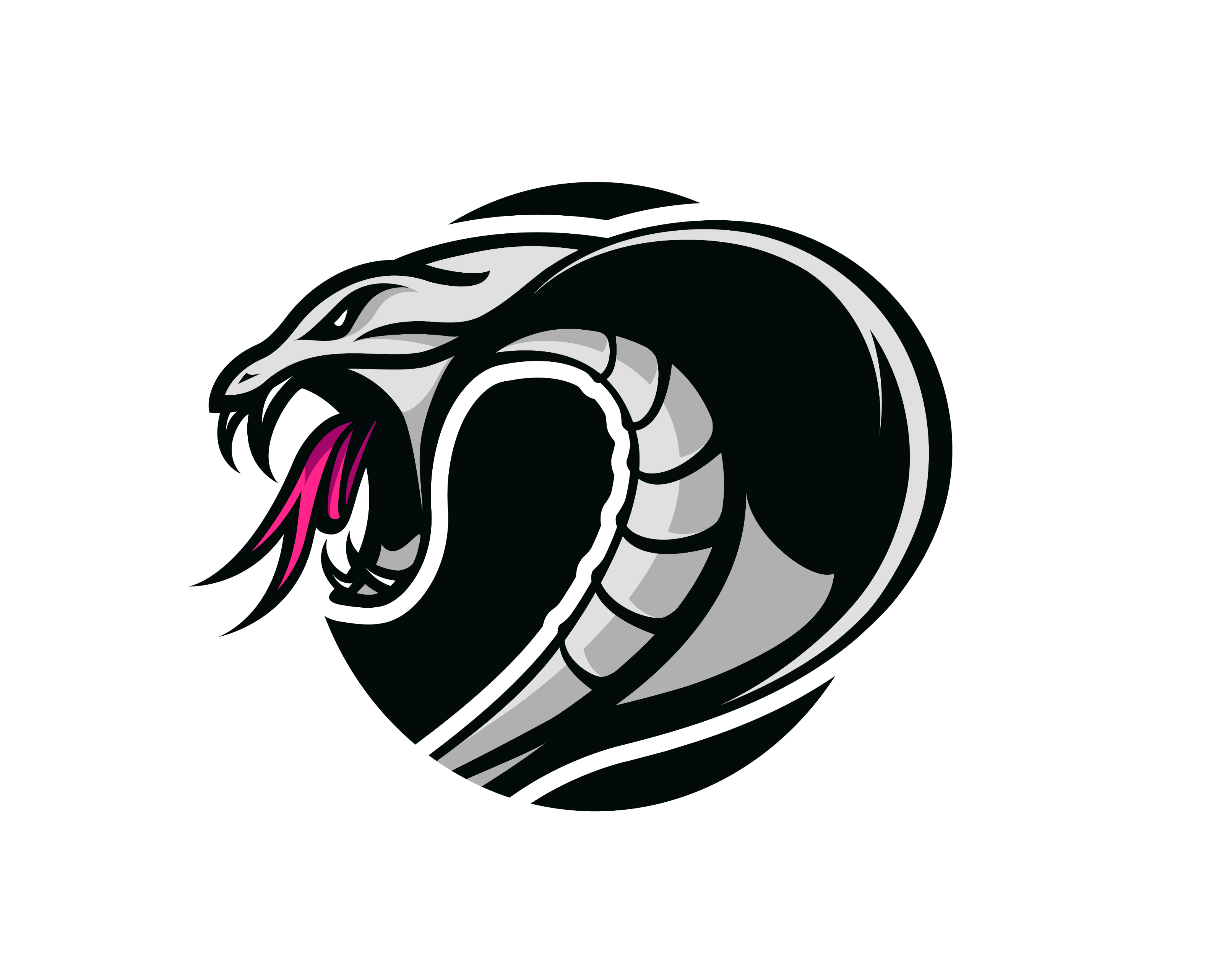 Cobham Cobras - Cobham Cobras Basketball Club
